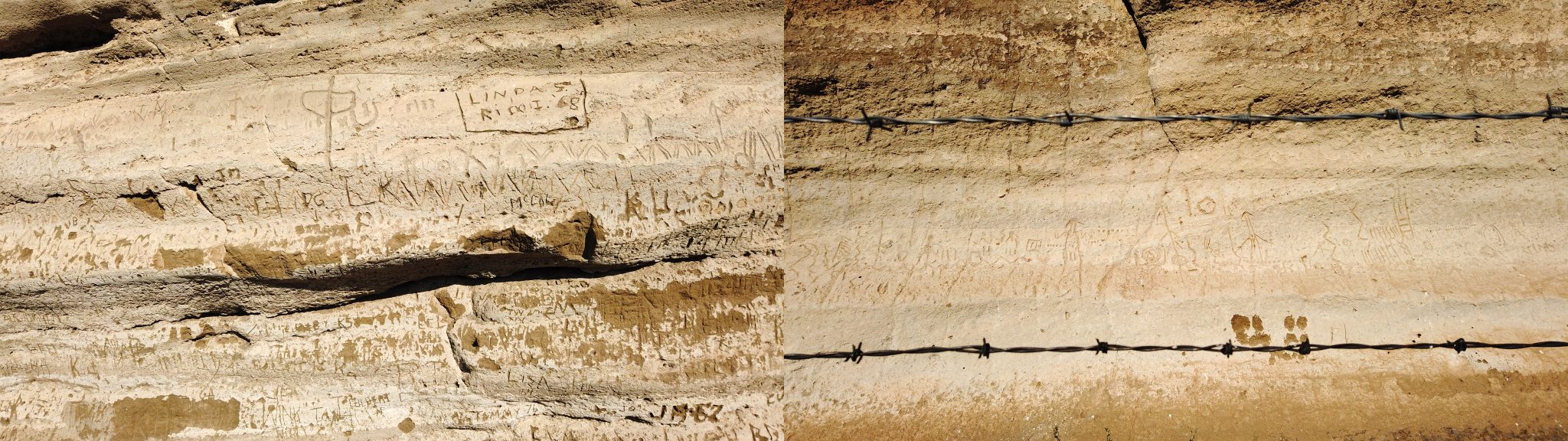 Tyler Eash, All the World's Horses at Nicoletti ★★☆☆☆ - pierre d'alancaisez