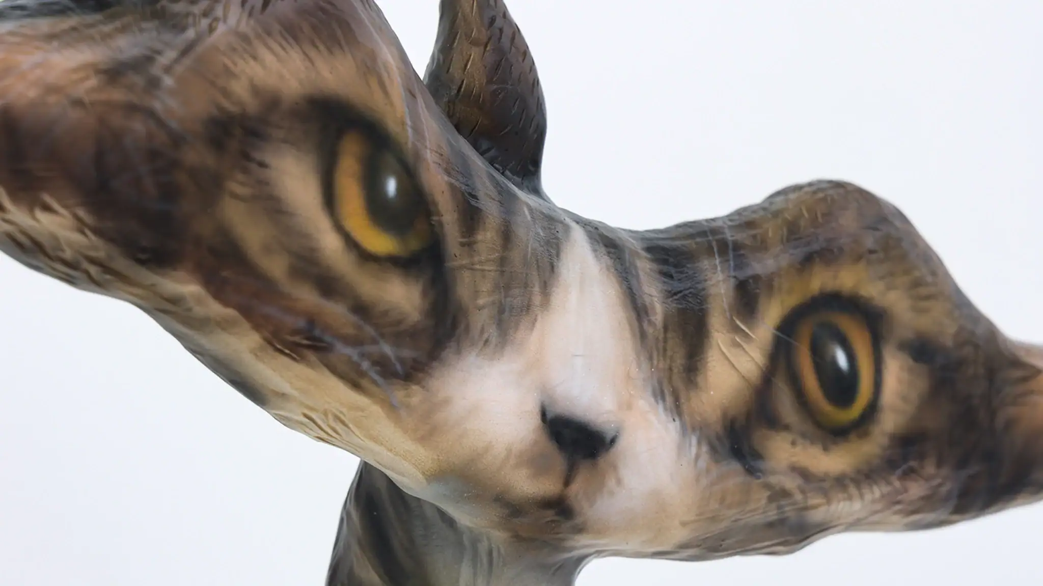 Teewon Ahn and Ibrahim Meïté Sikely at Gianni Manhattan and P21 at ...